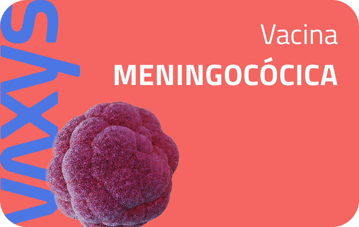 Vacina meningocócica B - BEXSERO® - GSK - Vaxys