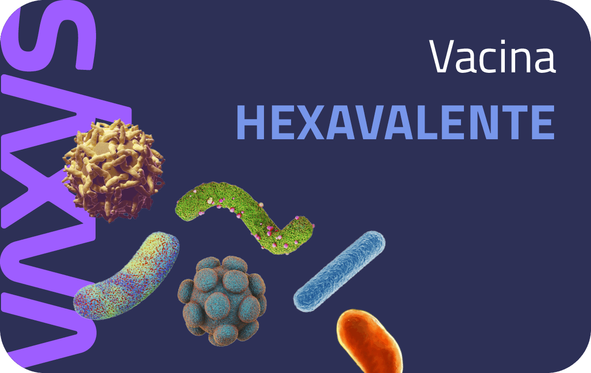 Vacina Hexavalente - Vaxys